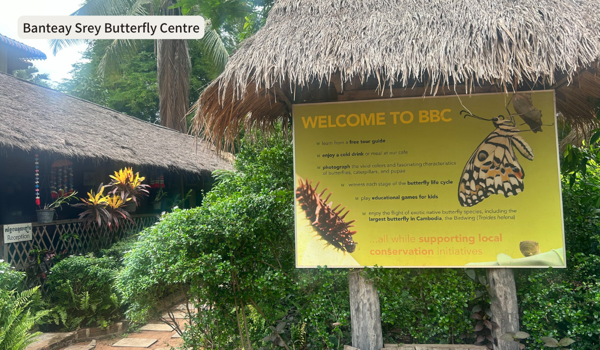 バタフライ・センター｜色とりどりの蝶と花を鑑賞できる自然体験施設！ – CAMBODIA NOTE