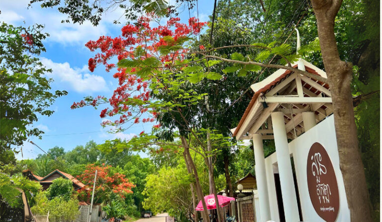 Chocolate Gardens 緑に囲まれた開放的なカフェ＆ショップ – CAMBODIA NOTE